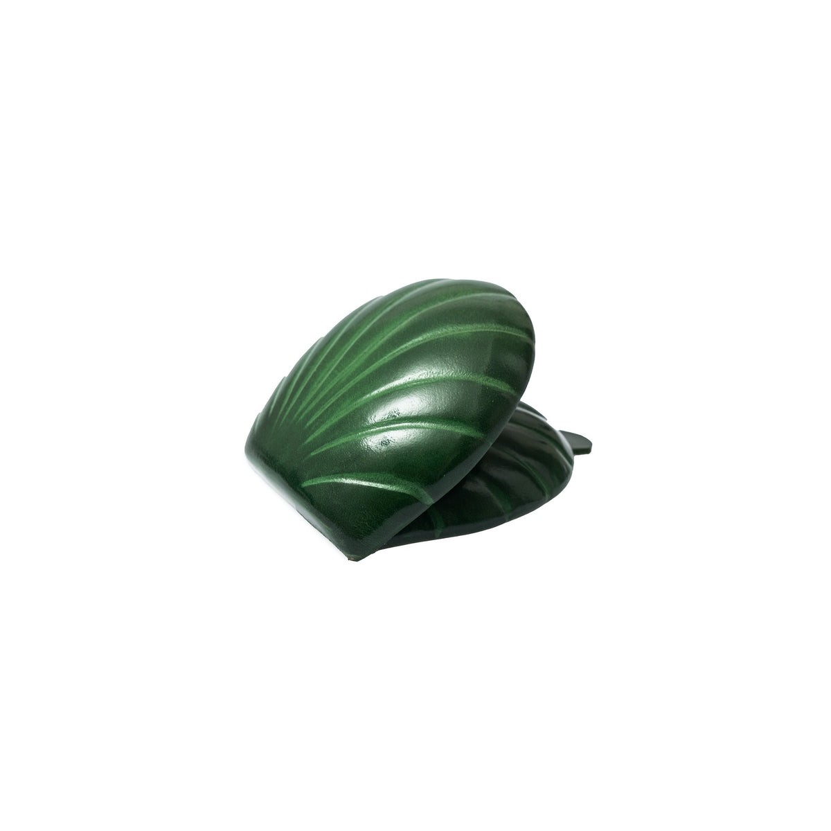 Shell coin purse – CAF-Firenze